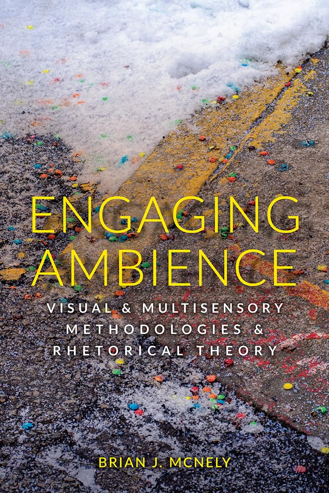 Amazon.com: Engaging Ambience: Visual and Multisensory Methodologies ...