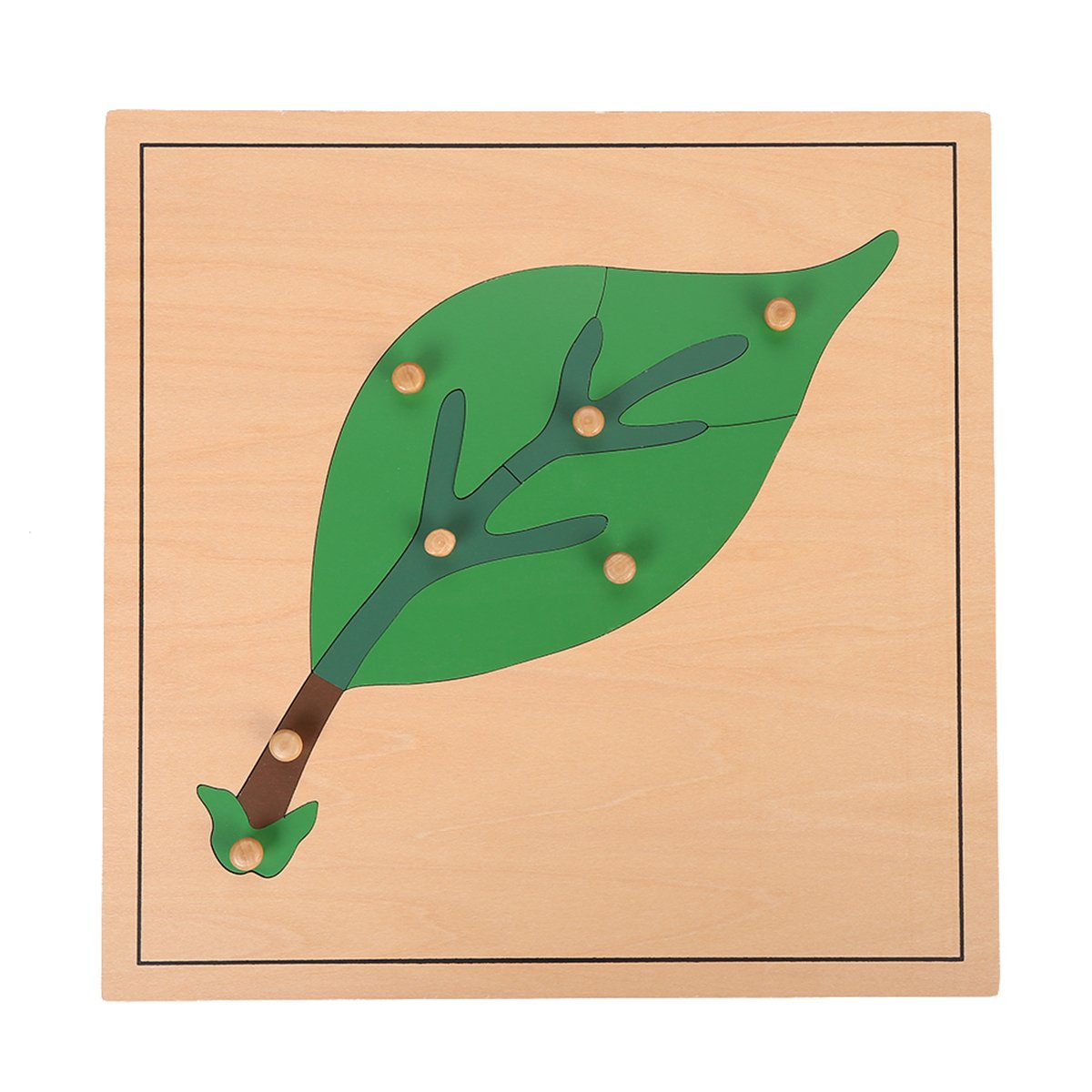 Buy Montessori Nature Materials Leaf Puzzle for Early Preschool ...