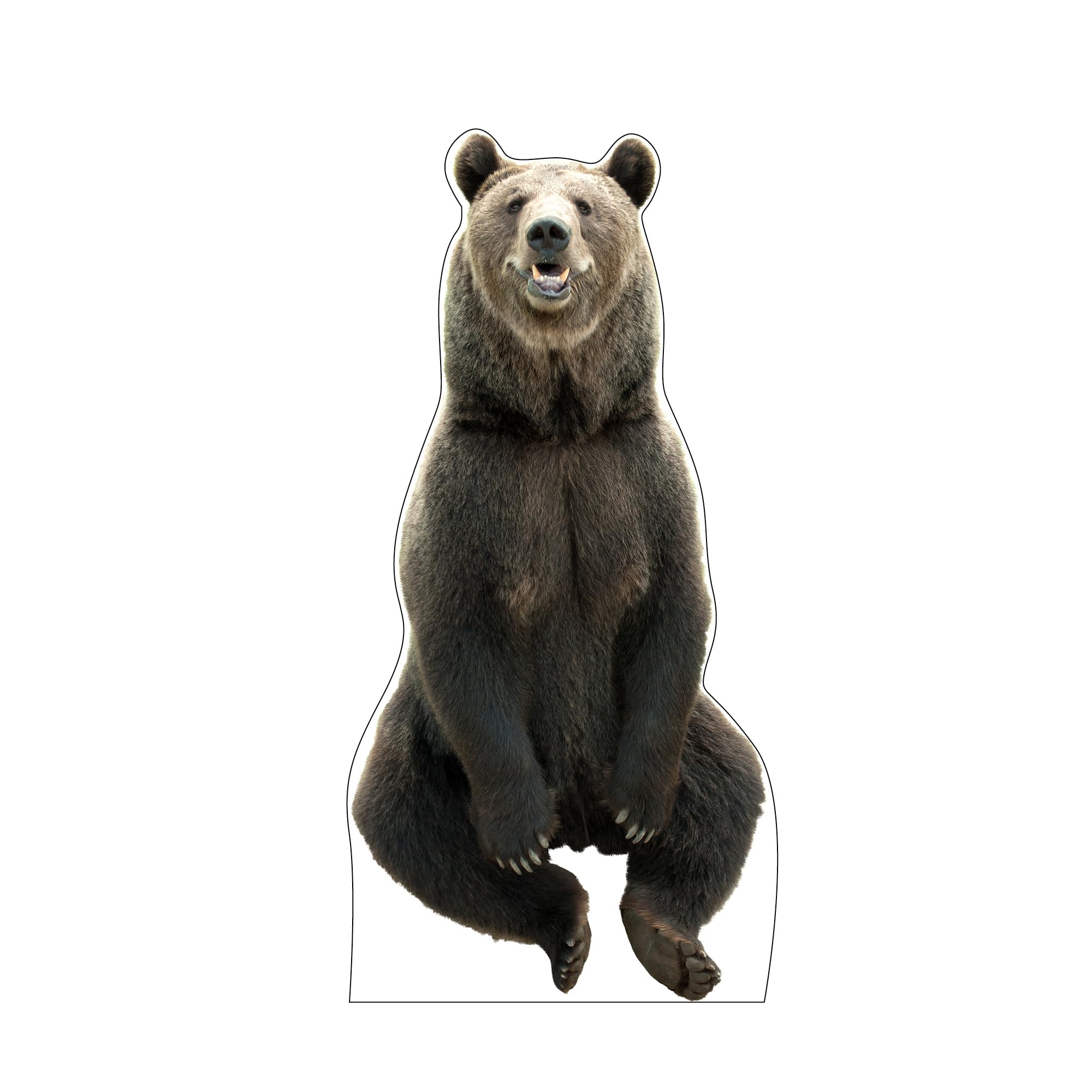 Amazon.com: Life Size Cardboard Cutout Standup | Waterproof | Animals ...
