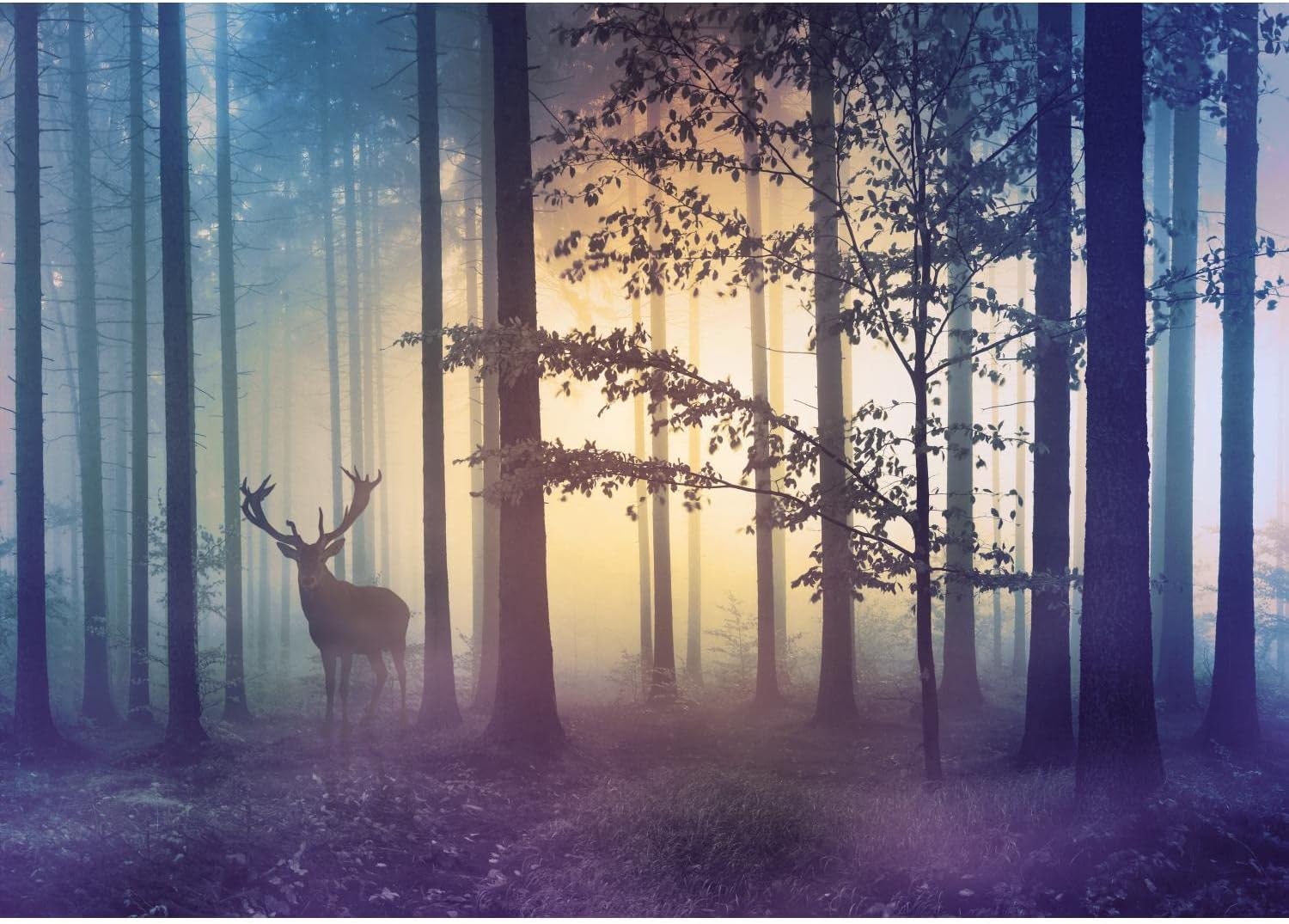 Fotobehang Bos Herten 352 x 250 cm - Vliesbehang Woonkamer Slaapkamer ...