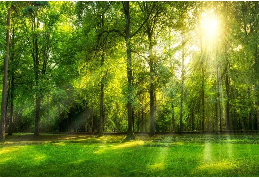 Amazon.com : Leowefowa 7x5ft Spring Backdrop Jungle Forest Trees ...