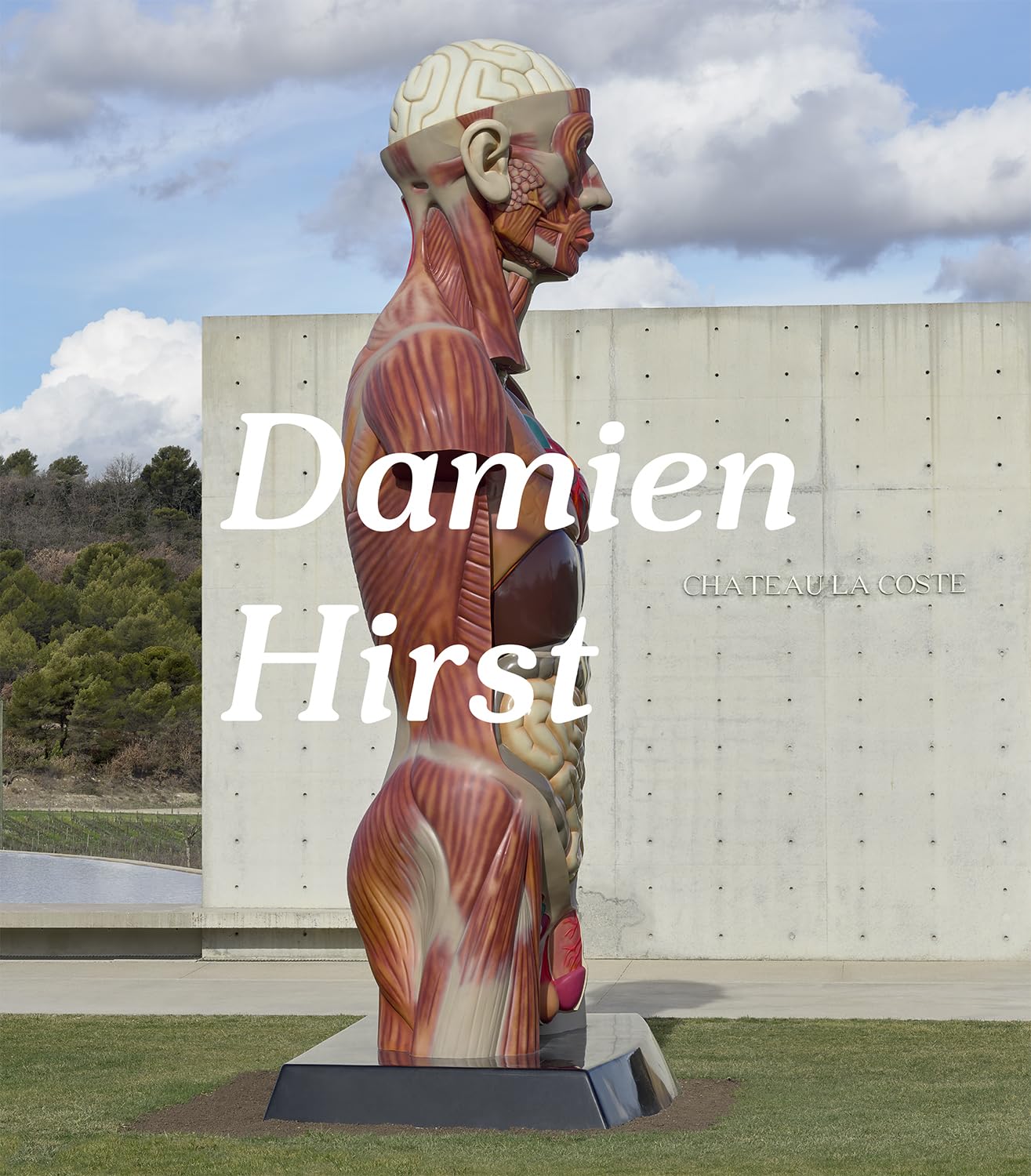 Light That Shines, The : Damien Hirst, Ellen Mara De Wachter (intro ...