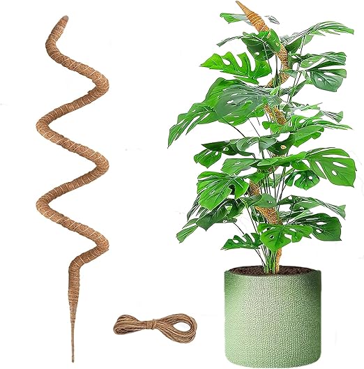 Amazon.com : Moss Pole, 48 Inch Bendable Monstera Plant Support, Moss ...