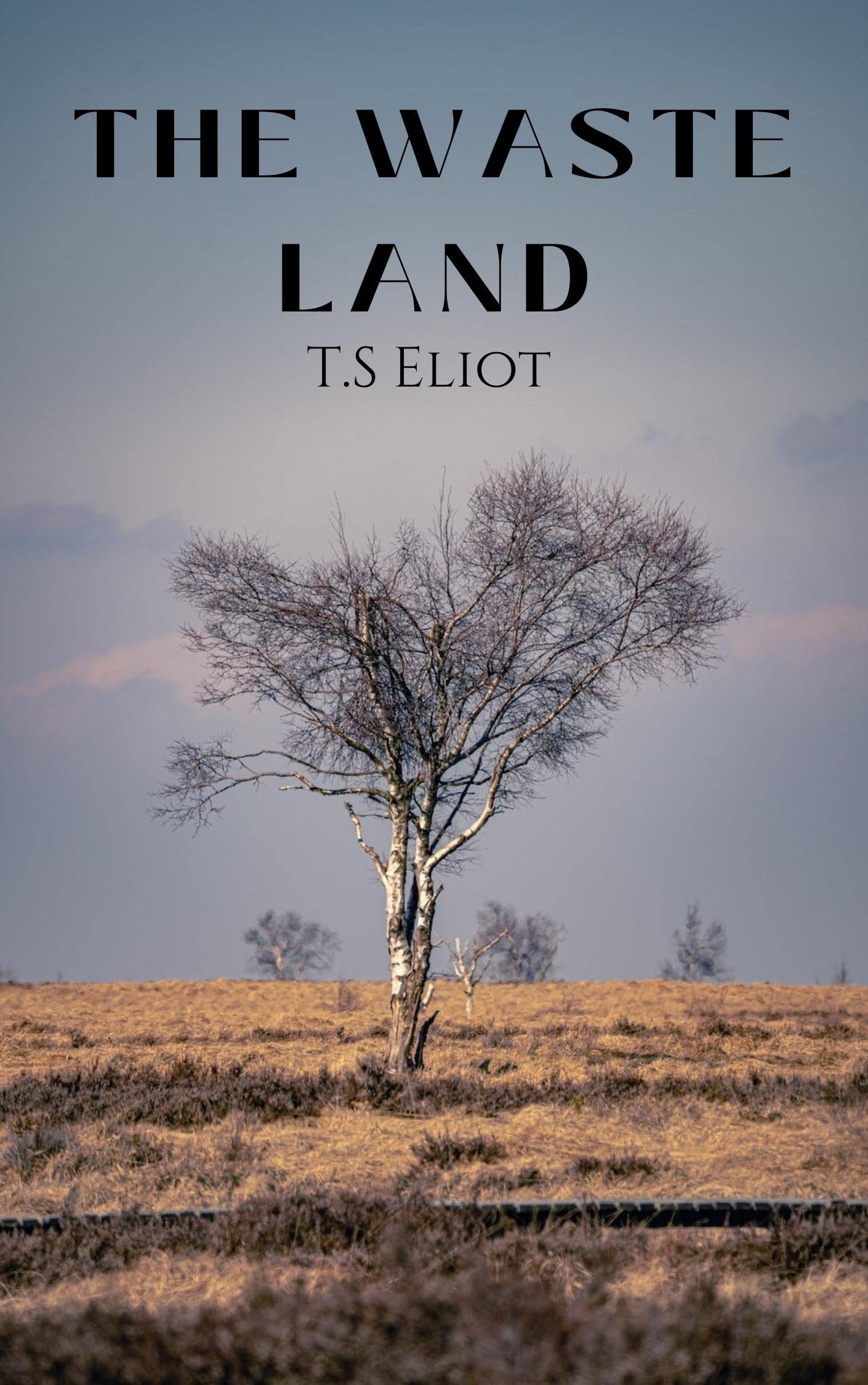 Buy The Waste Land Book Online at Low Prices in India | The Waste Land ...
