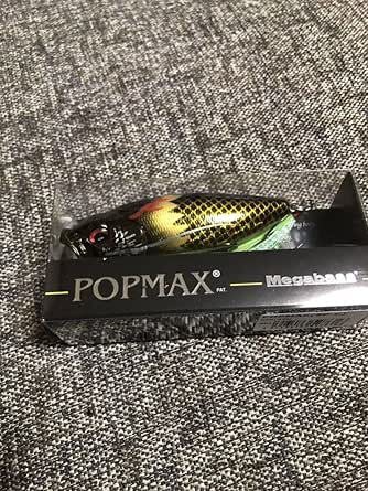 Amazon.co.jp: Megabus POP-MAX Popmax KOURYU Yellow Dragon 2024 Zodiac ...