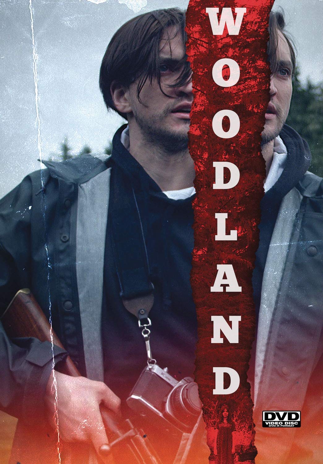 Amazon.com: Woodland : Jon Silverberg, Jon Silverberg, Andy Hodgson ...