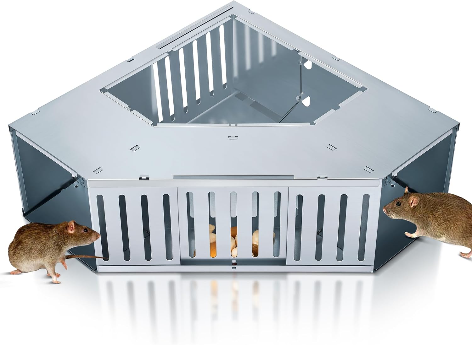 Amazon.com : Qualirey Extra Large Humane Multi Catch Mouse Trap, 4.7 ...