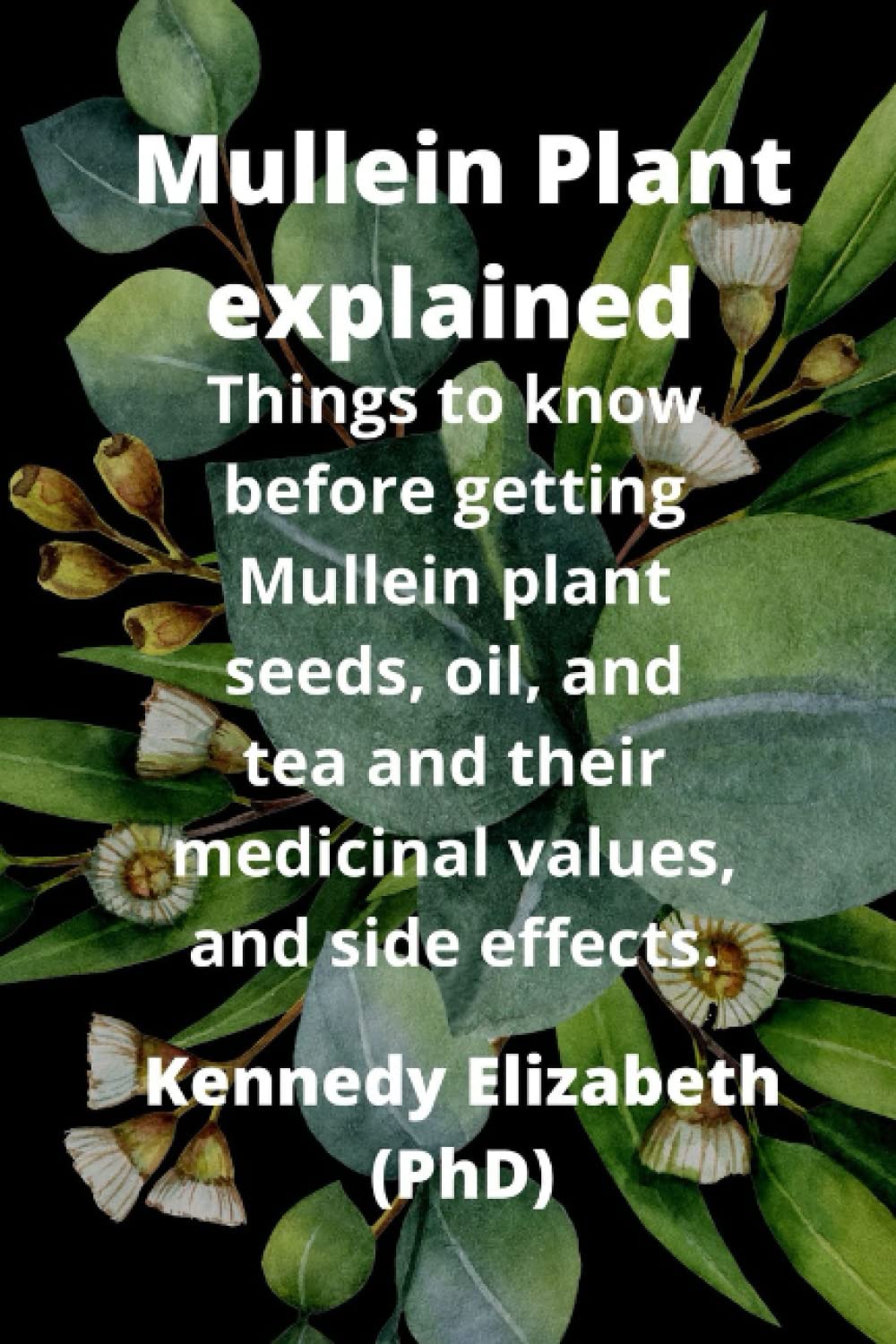 Buy Mullein s explained:: Things to know before getting Mullein , oil ...