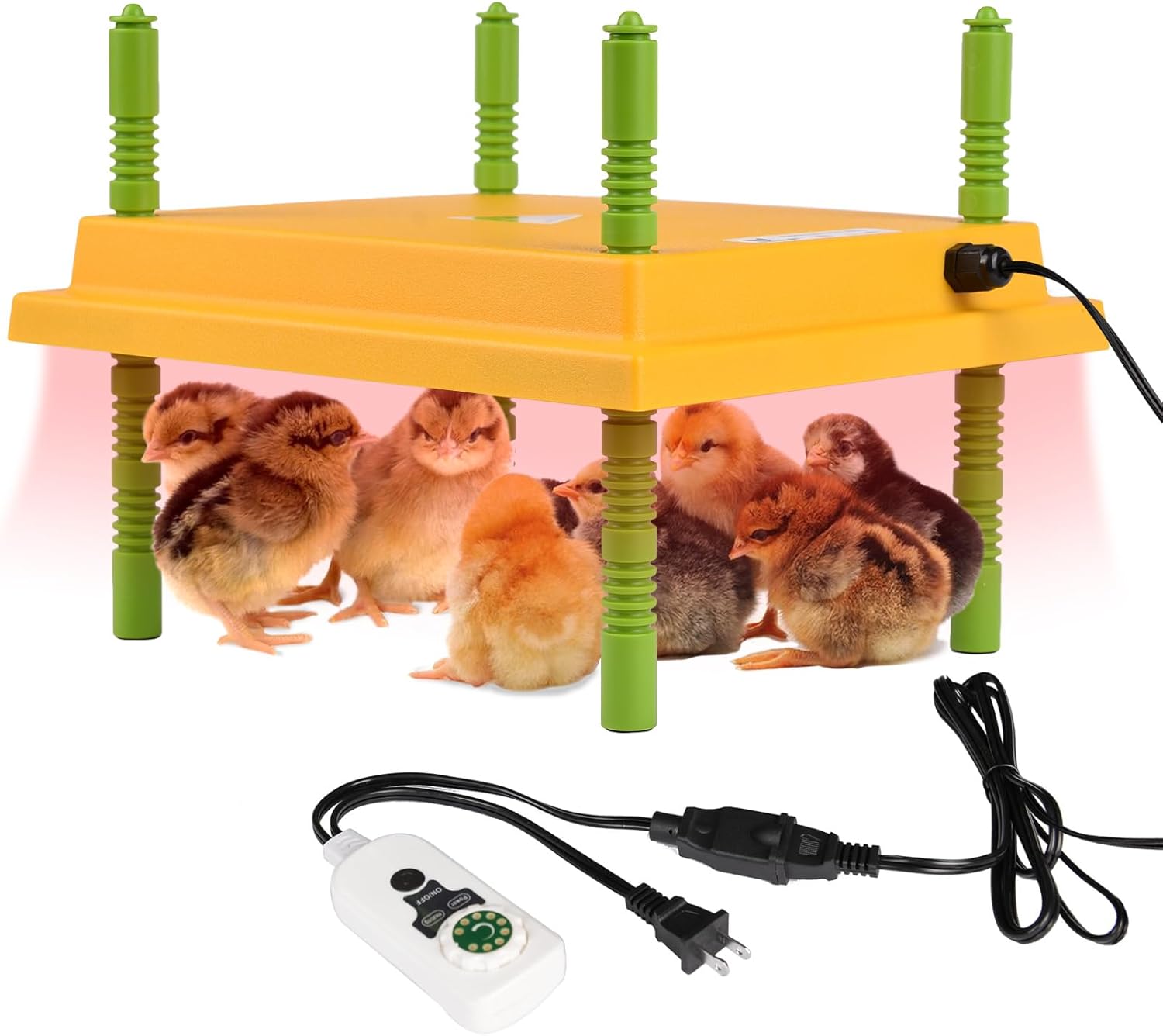 Amazon.com: Brooder Heater for Chicks, Chicken Brooder with Temperature ...
