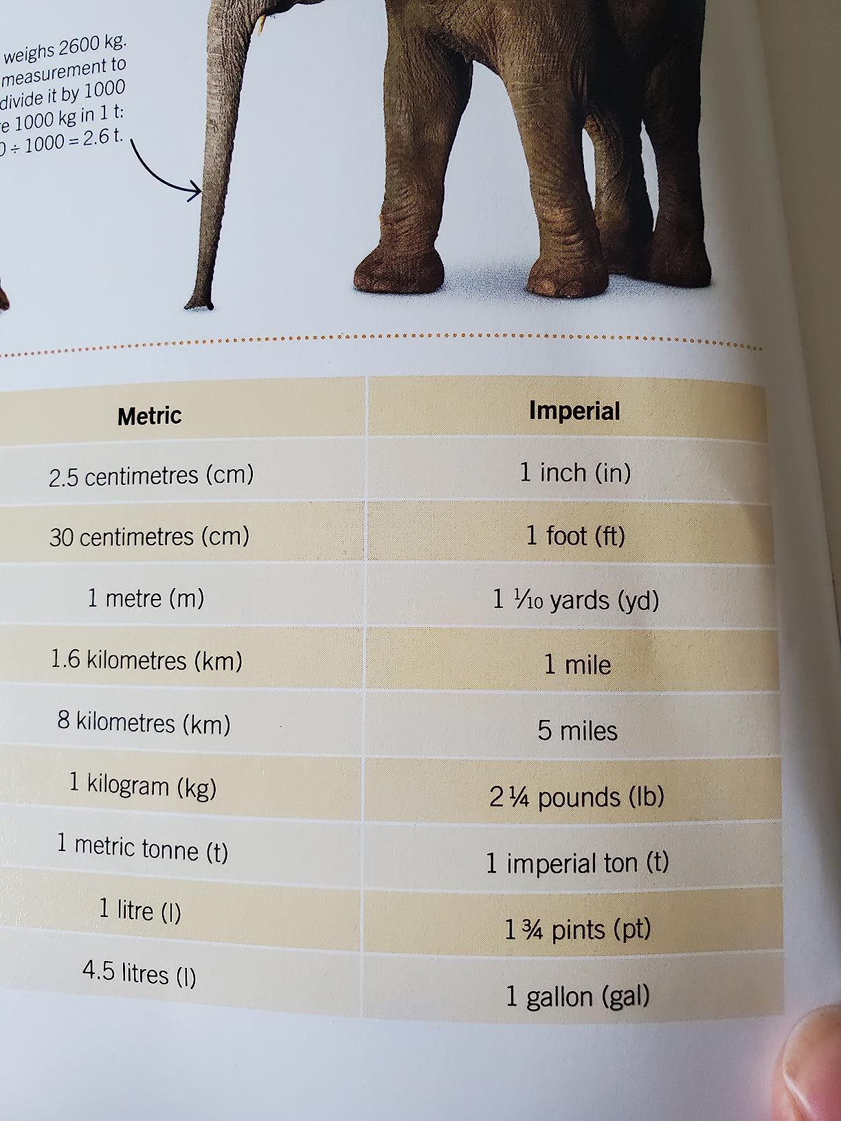 Super Simple Math (DK Super Simple): DK: 9780744028898: Amazon.com: Books