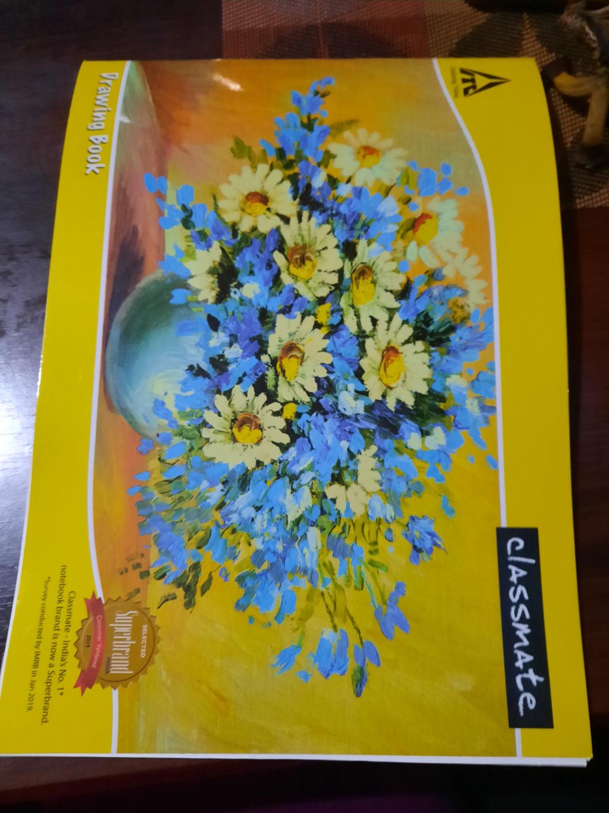 CLASSMATE GSM A4 Size Drawing Book with 40 Pages - Pack of 5 : Amazon ...