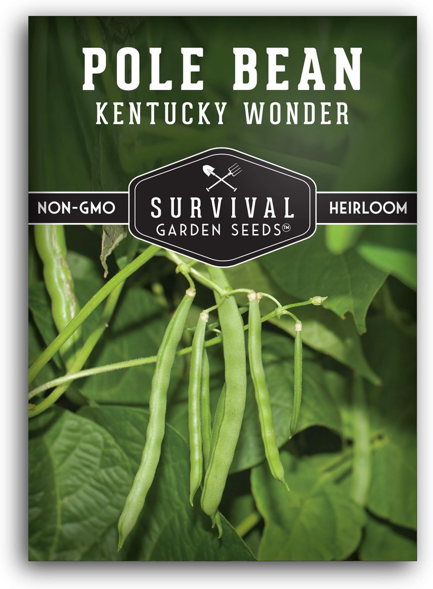 Amazon.com : TomorrowSeeds - Kentucky Wonder Yellow Wax Bean Seeds - 30 ...