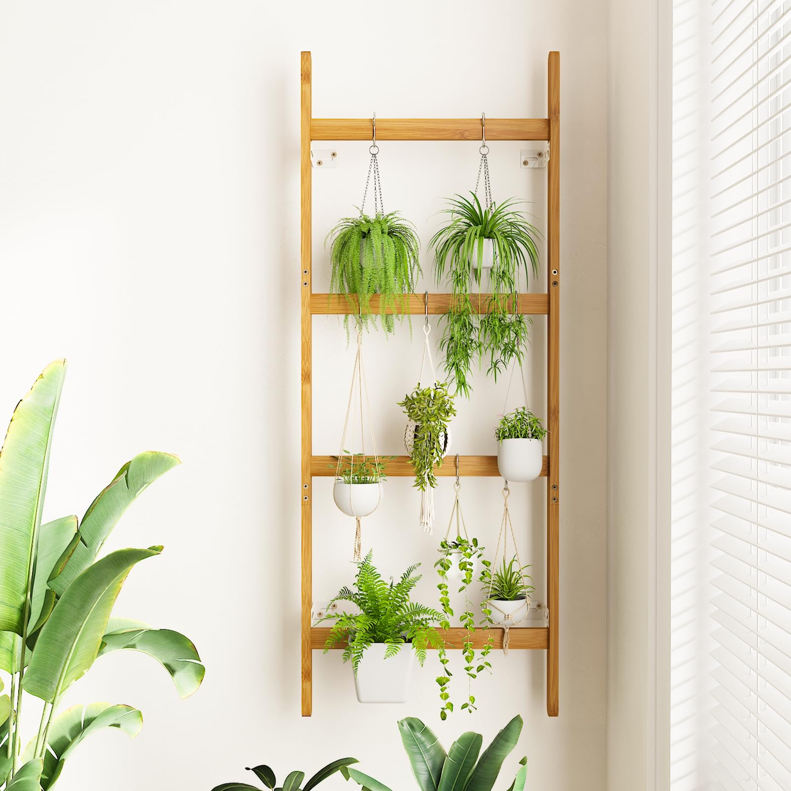 Amazon.com: Bamworld Hanging Planter for Indoor Plants Bamboo Plant ...