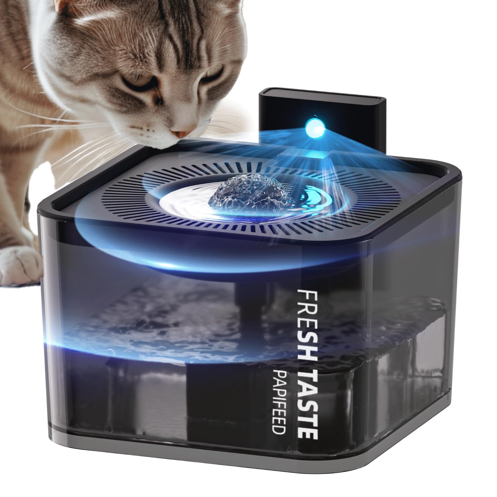 Amazon.com: PAPIFEED Cat Water Fountain: 106oz/3L Premium Pet Water ...