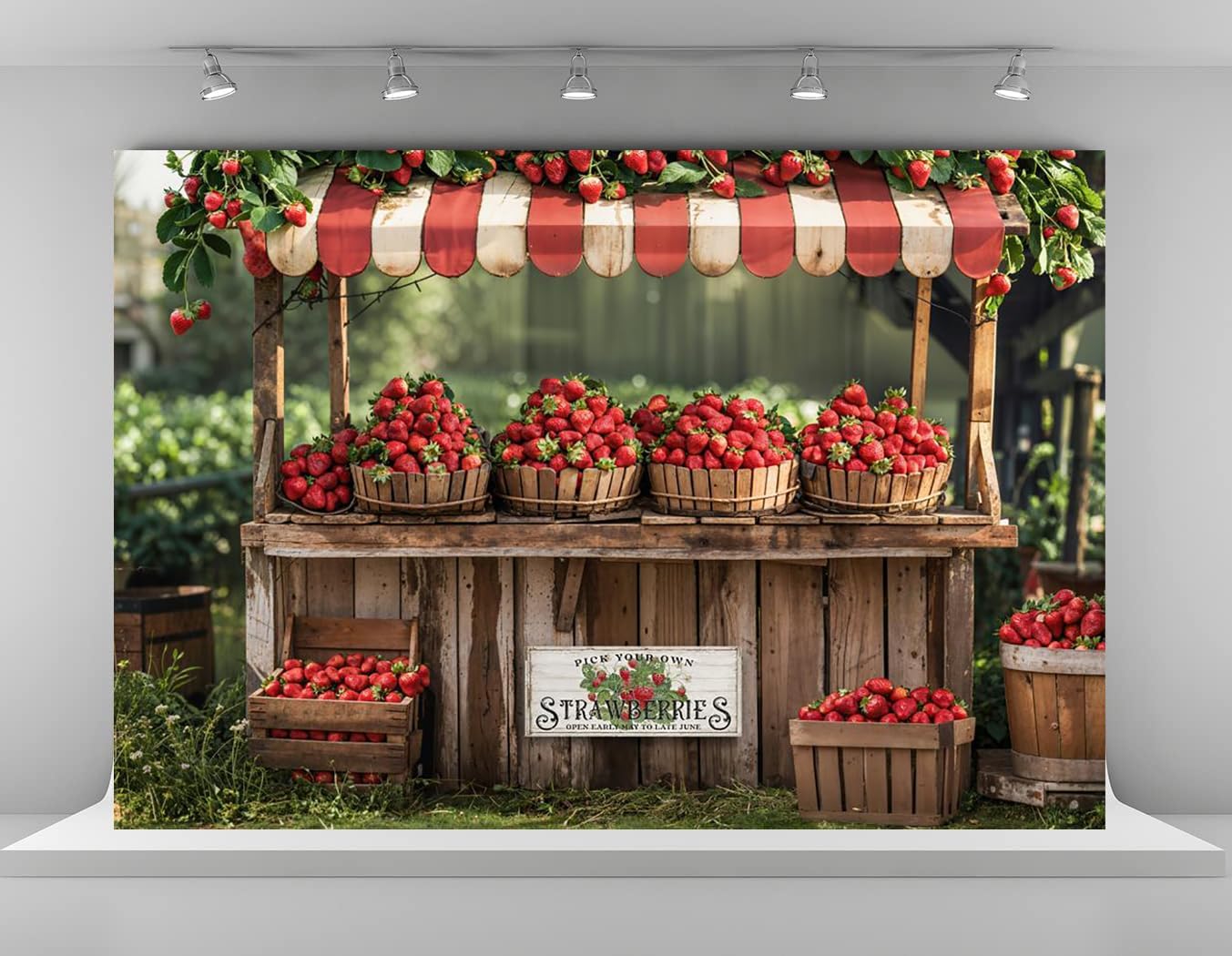 Amazon.com : Kate 7x5ft Red Strawberry Backdrops for Photography Summer ...