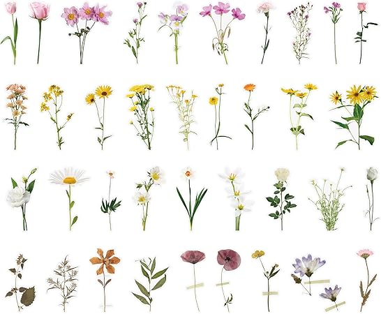 Amazon.com: 160pcs Flower Stickers for Journaling,Transparent Vintage ...