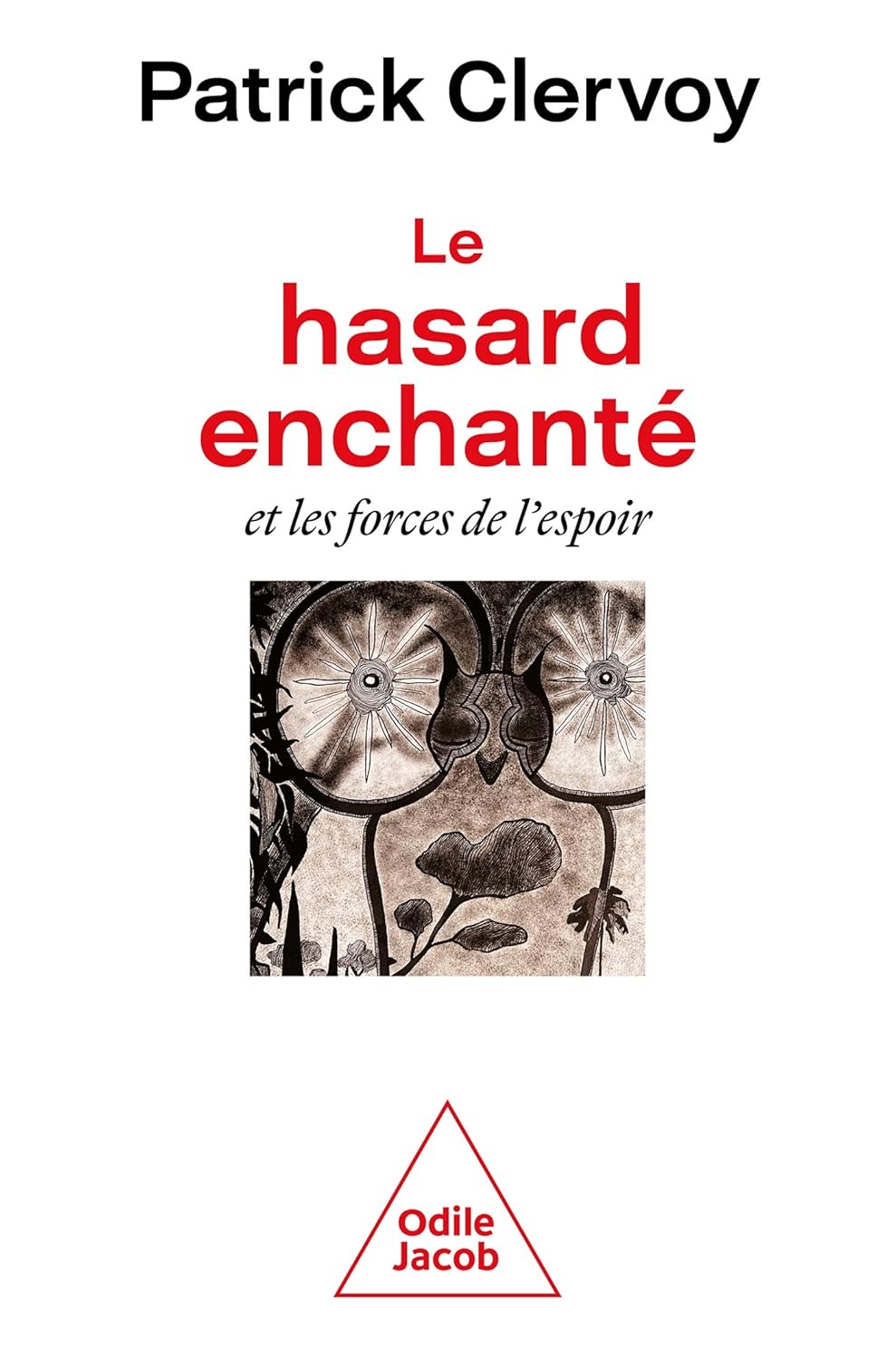 Amazon.com: Le Hasard enchanté: 9782415002961: Clervoy, Patrick: Books