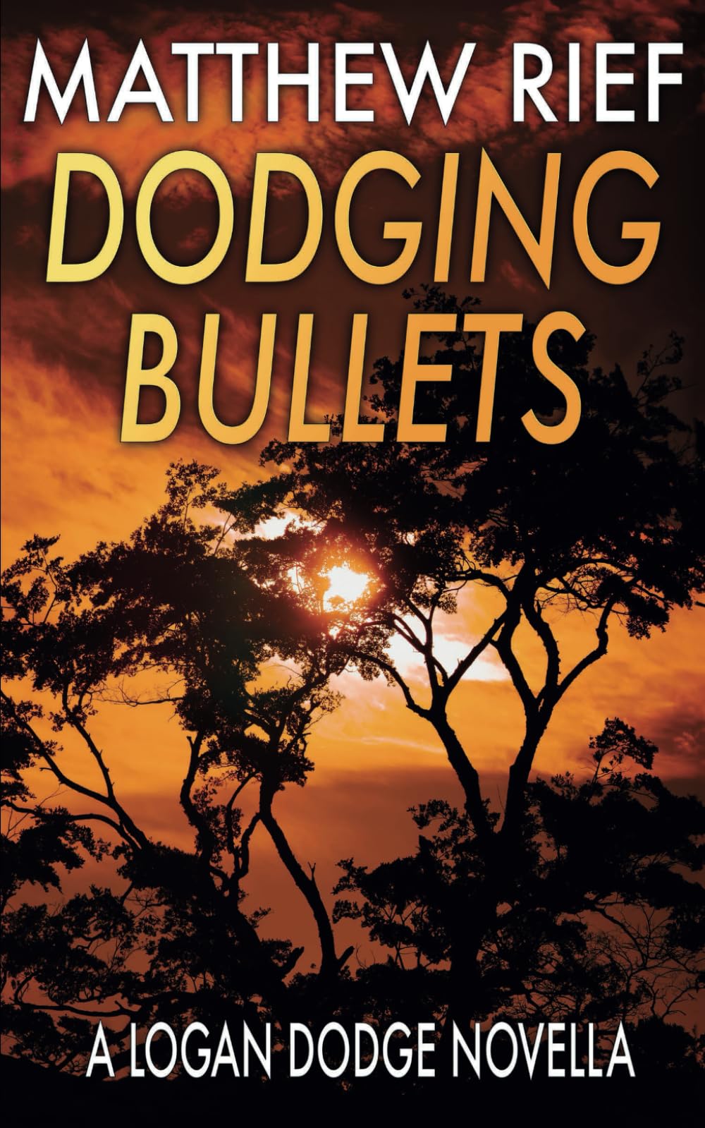 Amazon.com: Dodging Bullets: A Logan Dodge Novella: 9798308232865: Rief ...