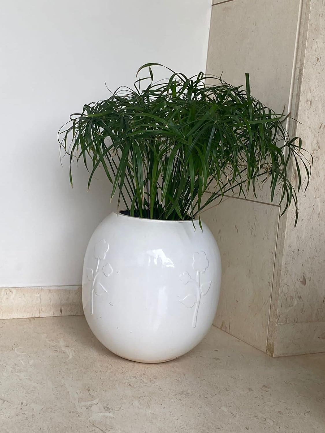 Aurus Standard Ivy White Color FRP Plant Pot for Outdoor and Indoor ...