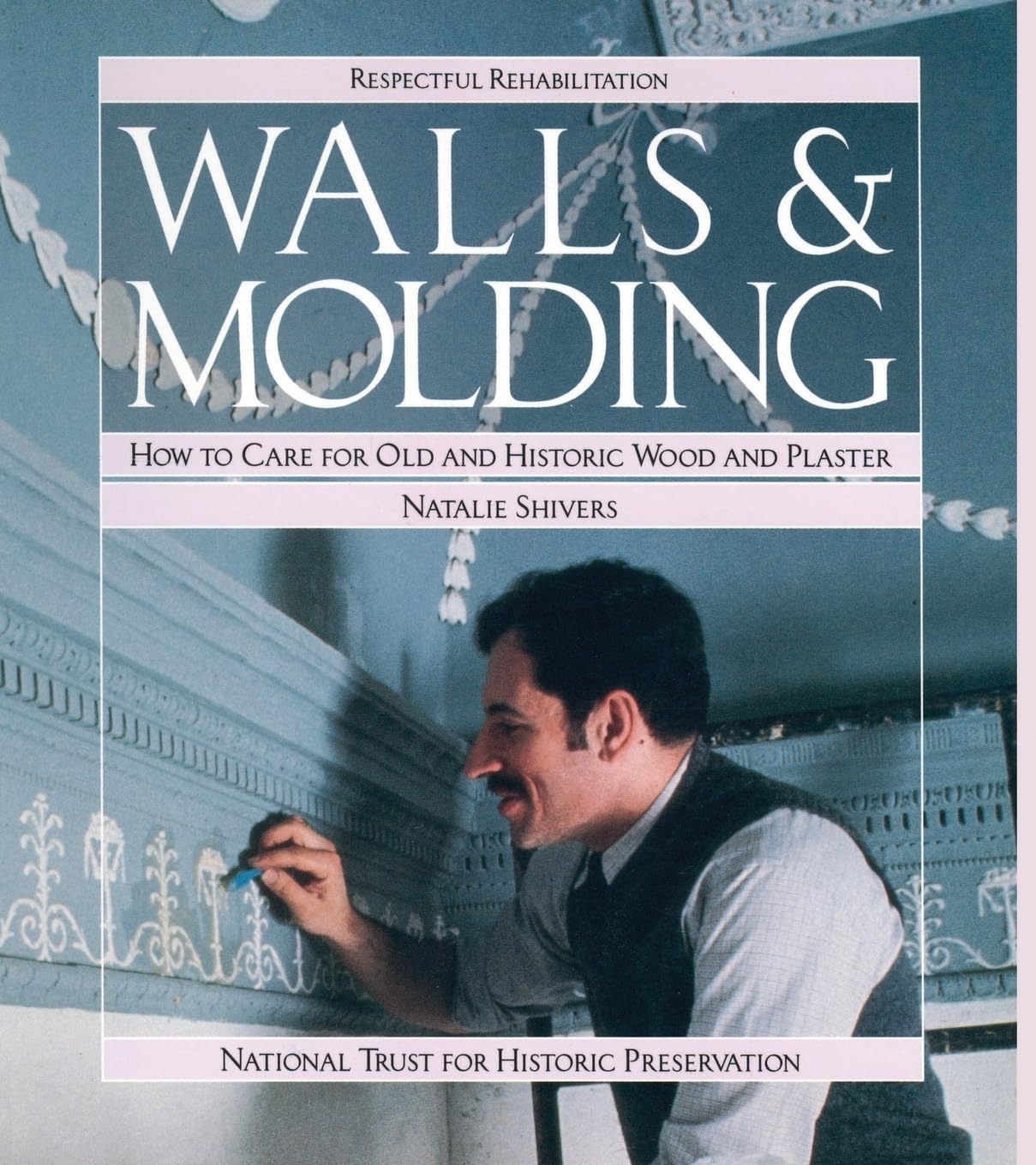 Walls and Molding: How to Care for Old and Historic Wood and Plaster ...
