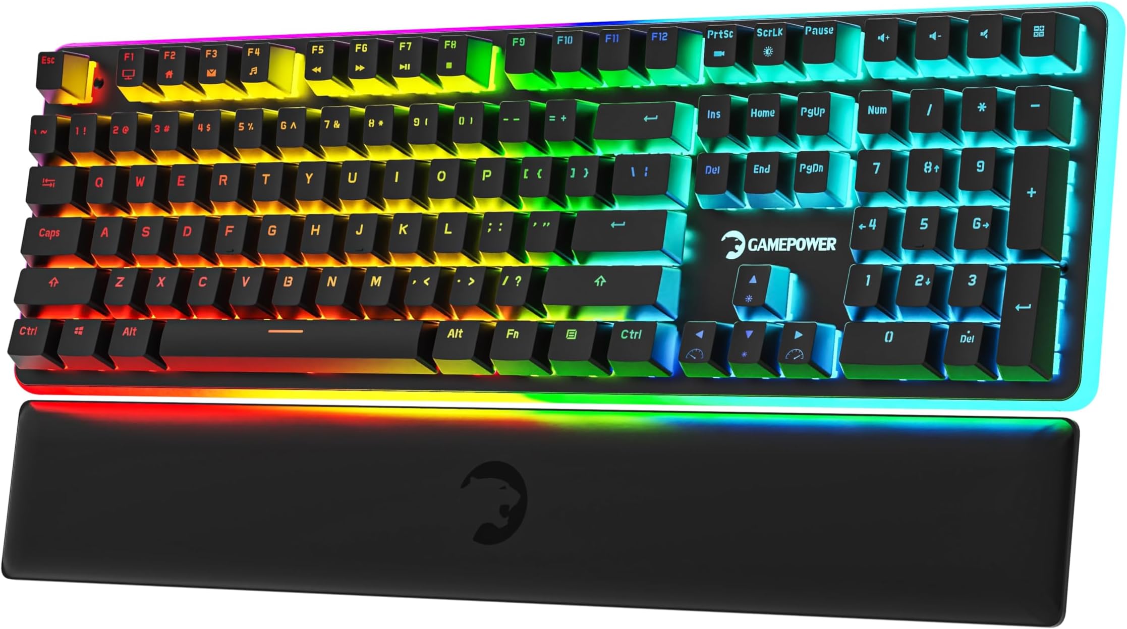 Amazon.com: ASUS Gaming Keyboard Cerberus | Highly Durable, Long ...