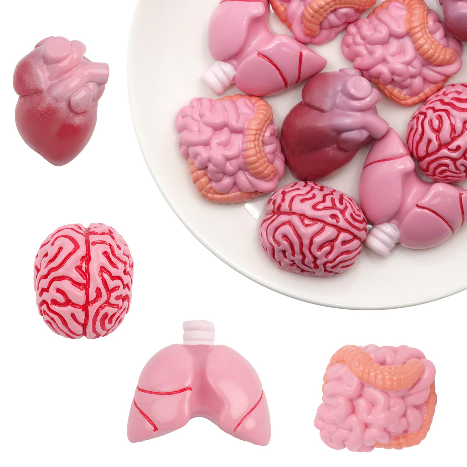 Amazon.com: Poorbone 12PCS Halloween Miniature Human Organs, Halloween ...