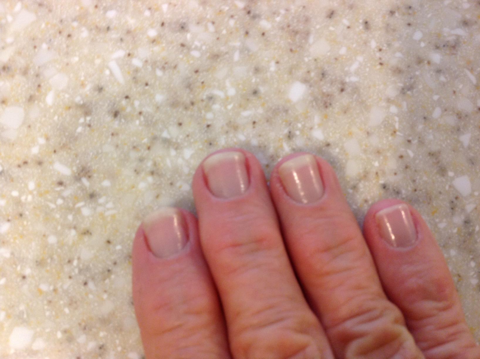 Amazon.com: Grass-Fed Bone Broth Capsules with Collagen from Organic ...