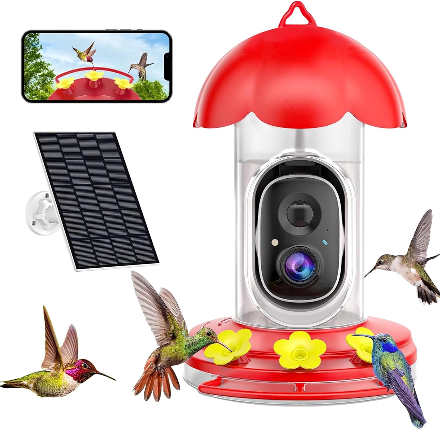Amazon.com : Smart Hummingbird Feeder with Camera Solar Powered, AI ...