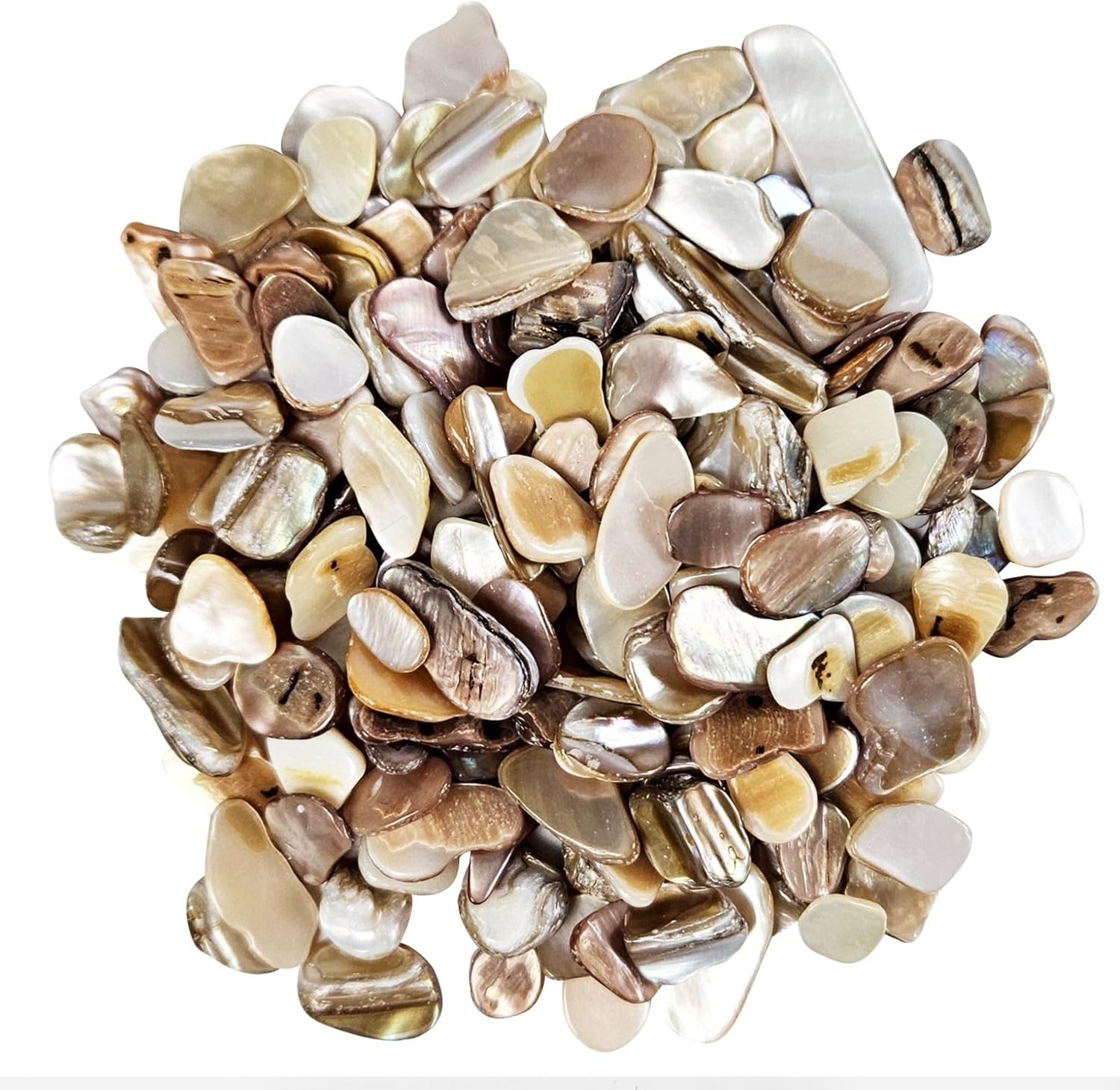 Amazon.com: EDSRDUS Natural Crushed Shells Chips Irregular Mother of ...