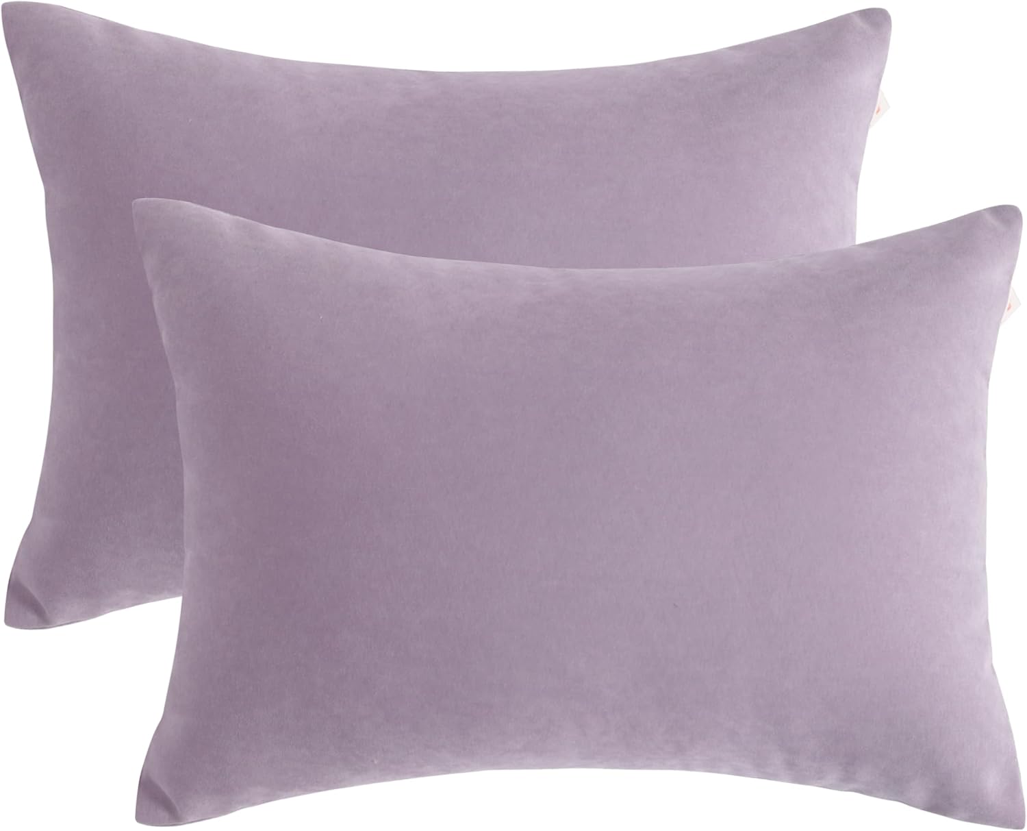 Amazon.com: NTBAY 2 Pack Toddler Pillows, 13"x18" Microfiber Pillows ...
