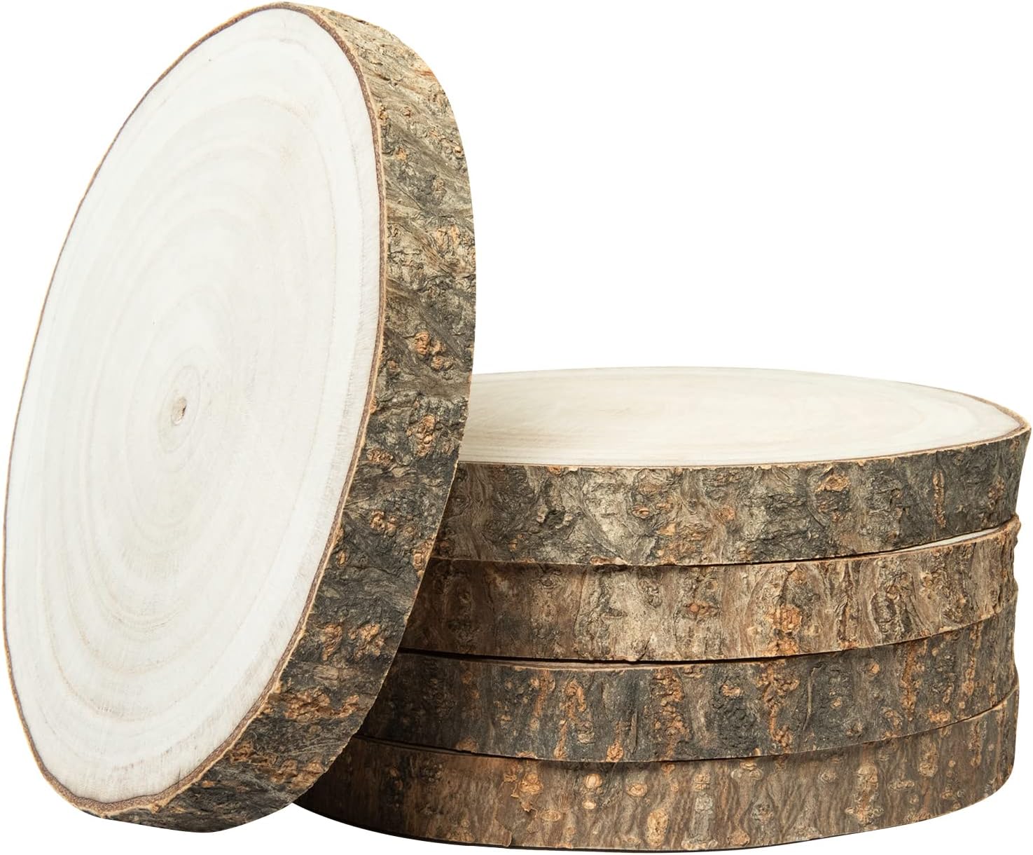 Amazon.com: 5pcs Wood Slices 6-7 inch Unfinished Natural with Tree Bark ...