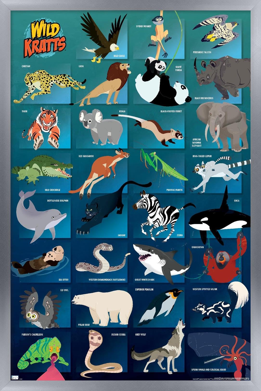 Amazon.com: Trends International Wild Kratts - Grid Wall Poster, 14.72 ...