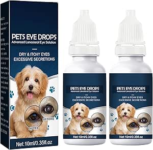 Amazon.com : MGDYSS Cataract Drops for Pets, 2 Pcs Safe & Gentle Dog ...