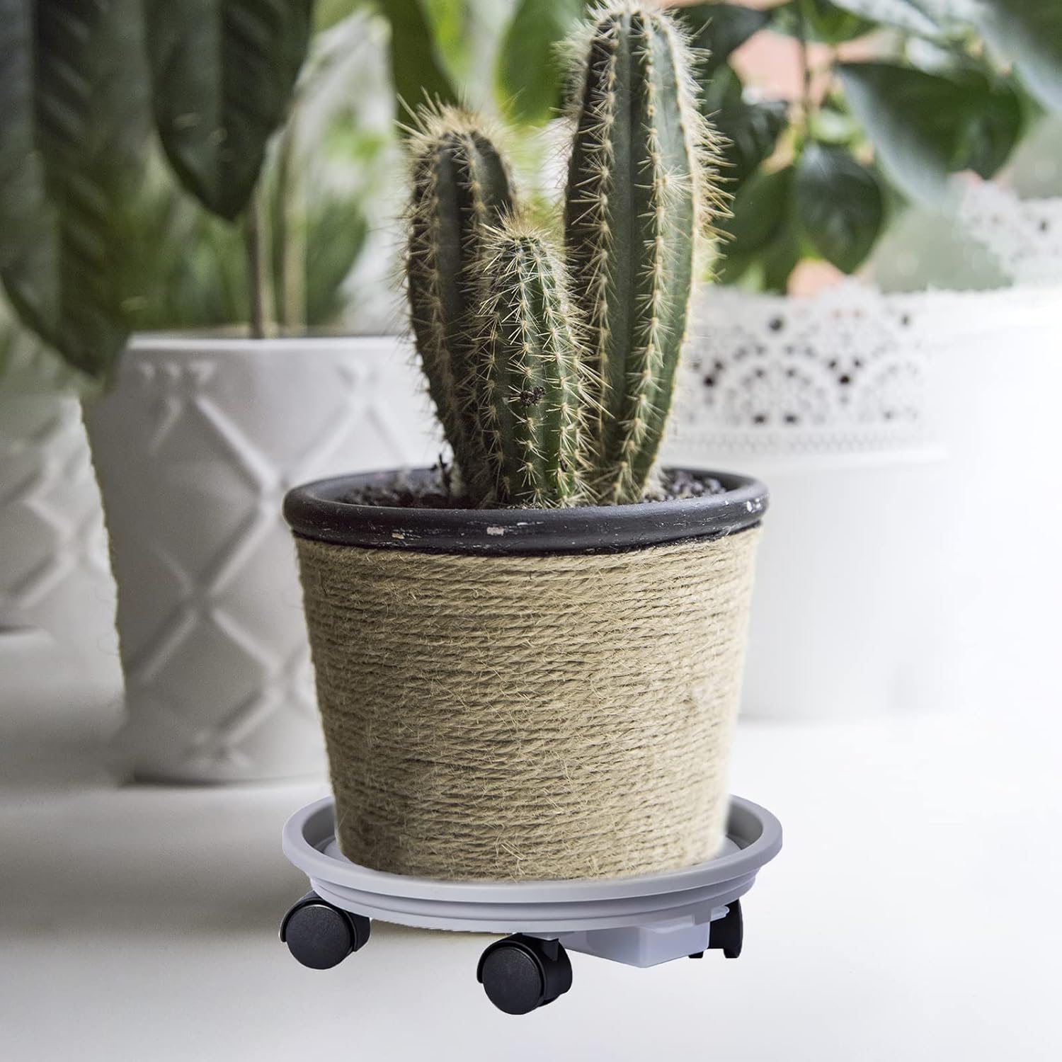 Amazon.com: 3 Packs Round Plant Trays for Pots,14inch Plant Plates to ...