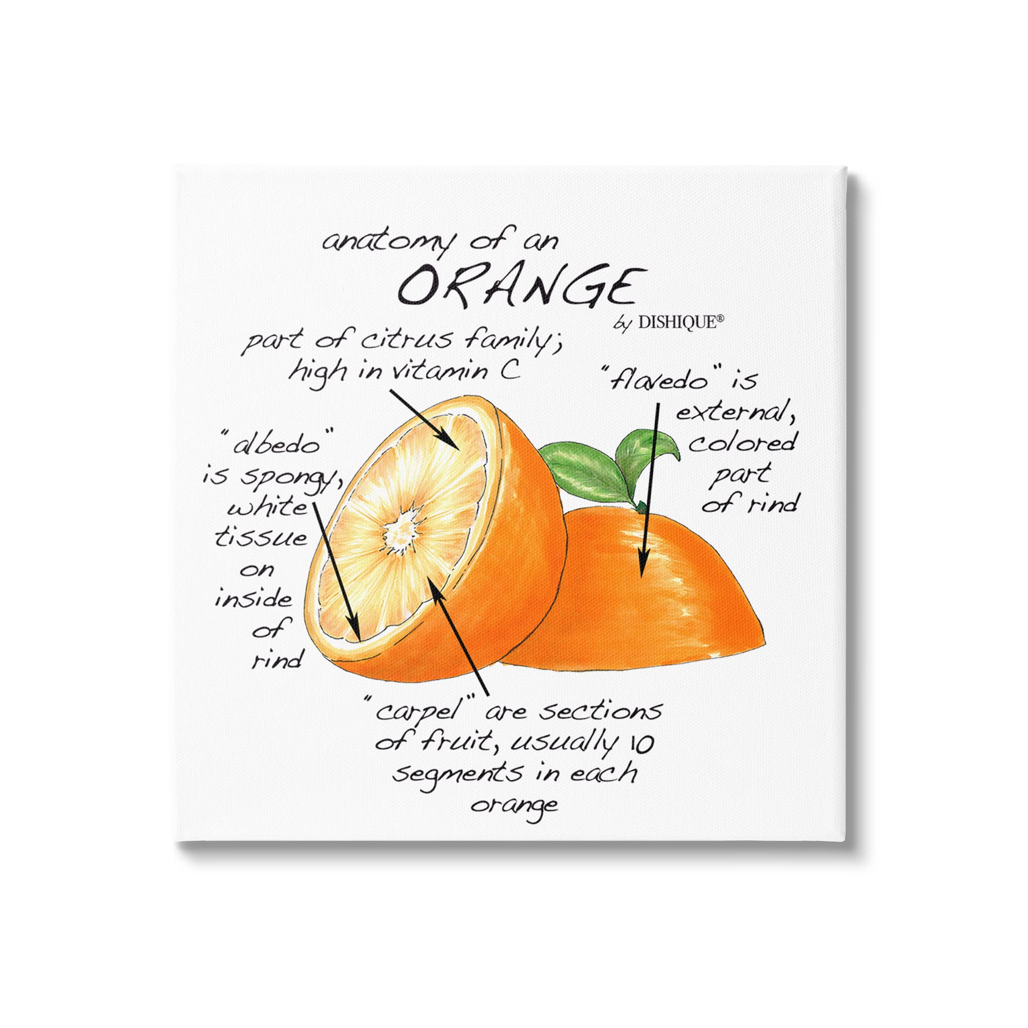 Orange Inside Diagram