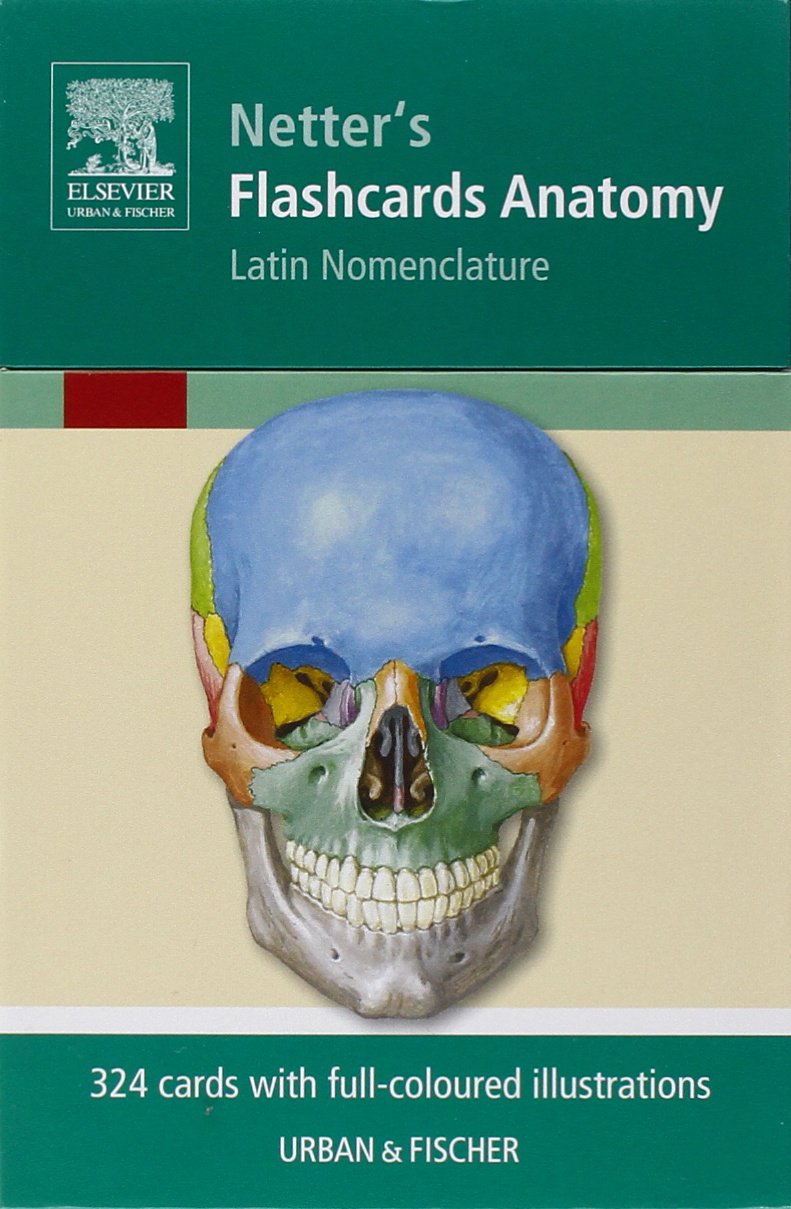 Flashcards Anatomy: Latin Nomenclature (Netter Basic Science) : Hansen ...