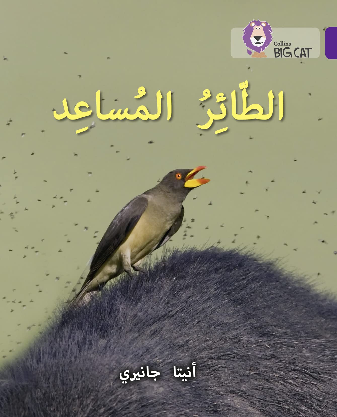 The Helper Bird: Level 8 (Collins Big Cat Arabic Reading Programme ...