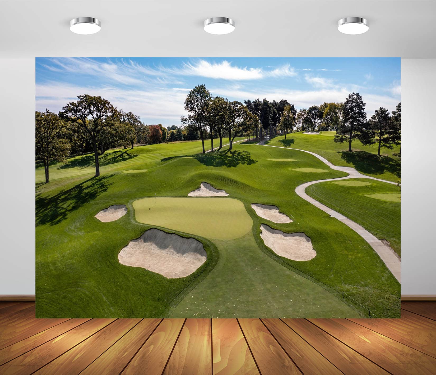 Amazon.com : BELECO 9x6ft Fabric Golf Course Backdrop for Photography ...