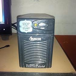 Microtek Heritage Gold 625 VA UPS Inverter Power Protection : Amazon.in ...