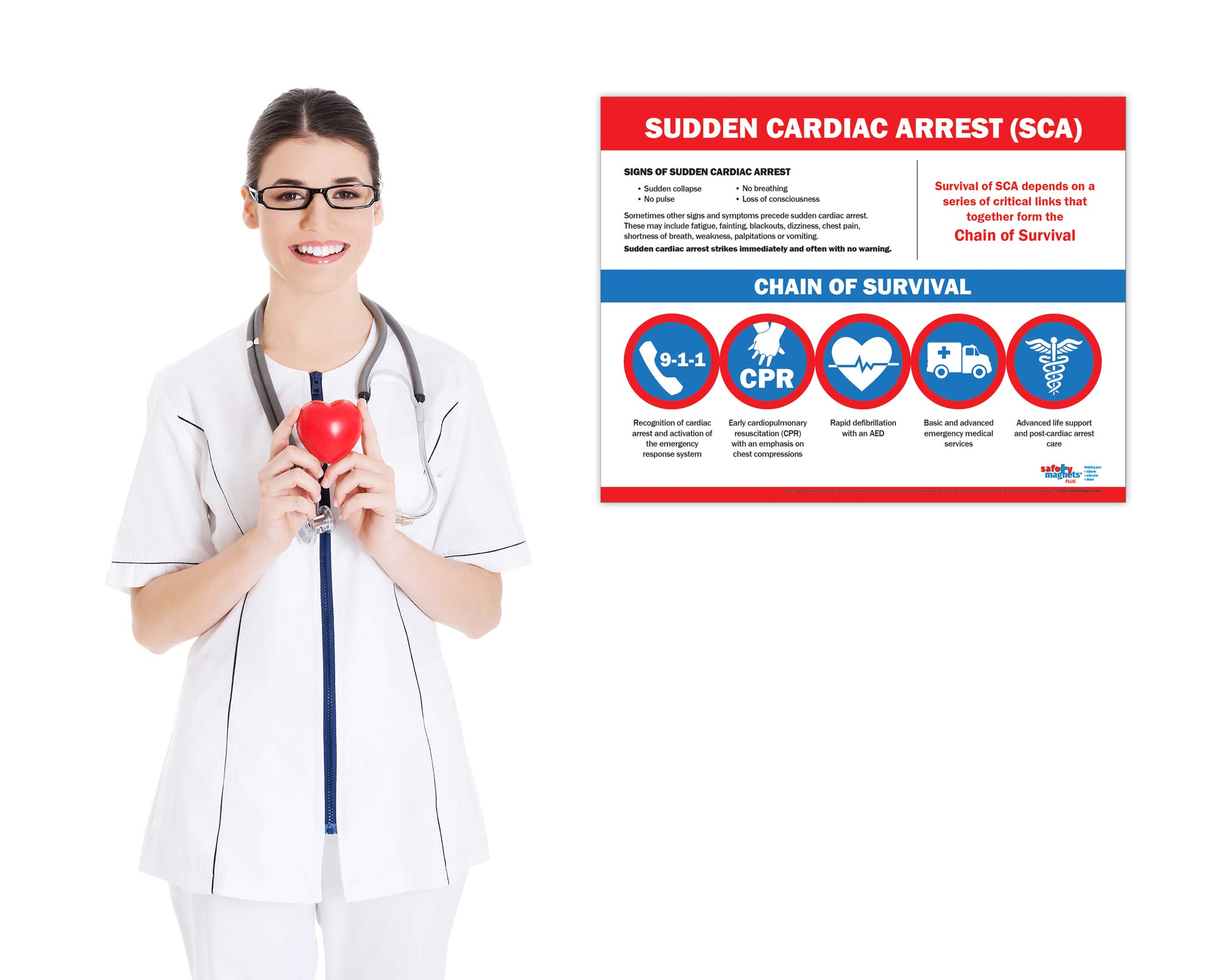 Sudden Cardiac Arrest Poster - Laminated, 17 x 22 in. - SCA Chain of ...