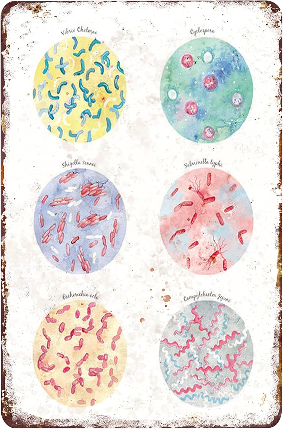 Amazon.com: Wall Art Metal Metal Art Wall Decor For Bathroom Waterborne ...