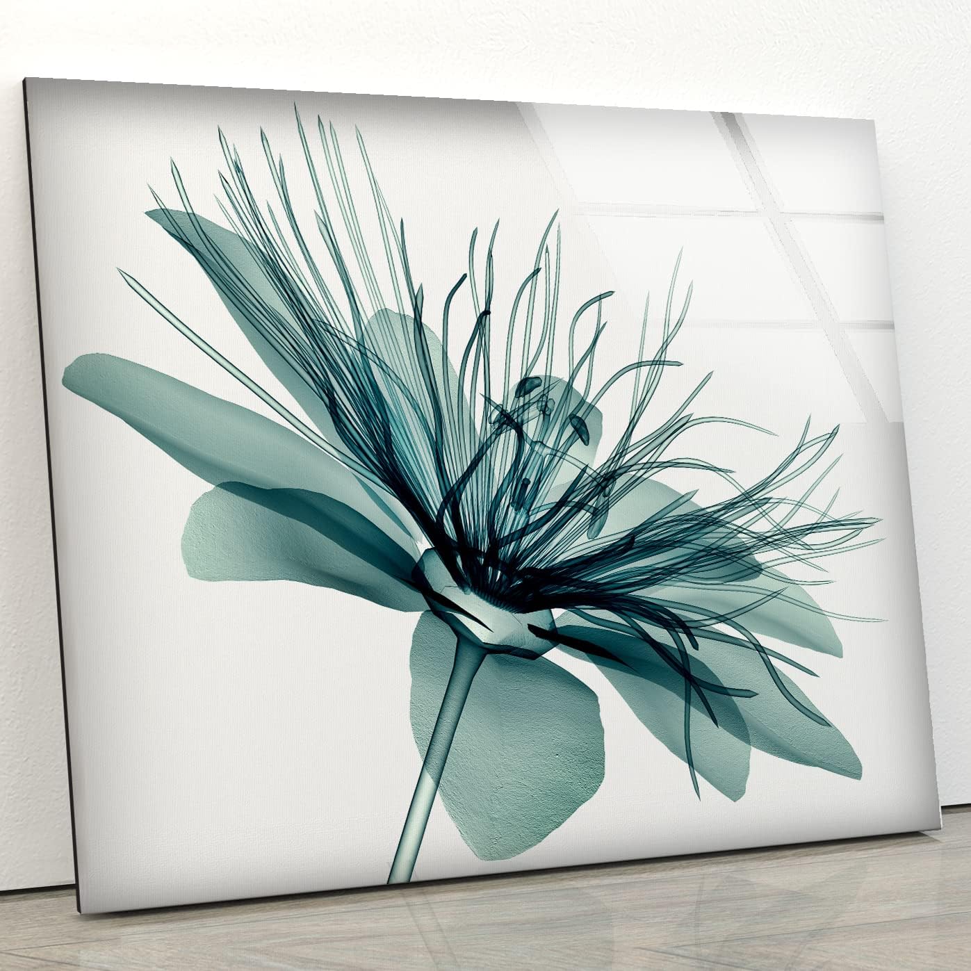 Amazon.com: My Photostation.com Tempered Glass Wall Art 28Wx18H'' Wall ...