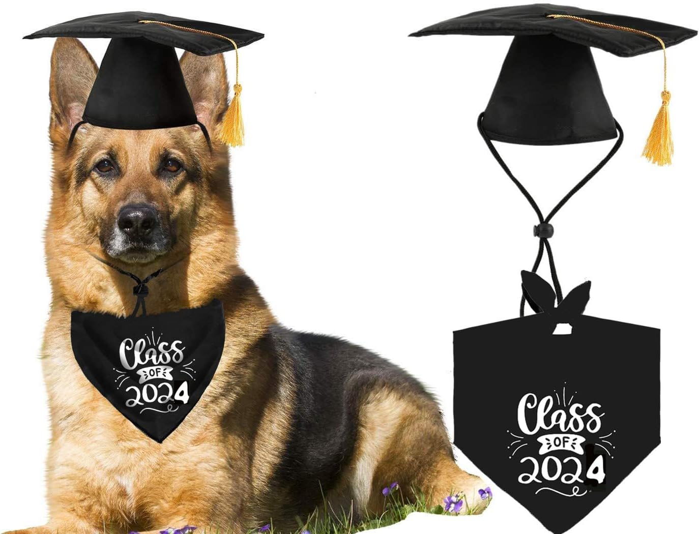 Amazon.com : Dog Graduation Cap with Yellow Tassel and Class of 2024 ...