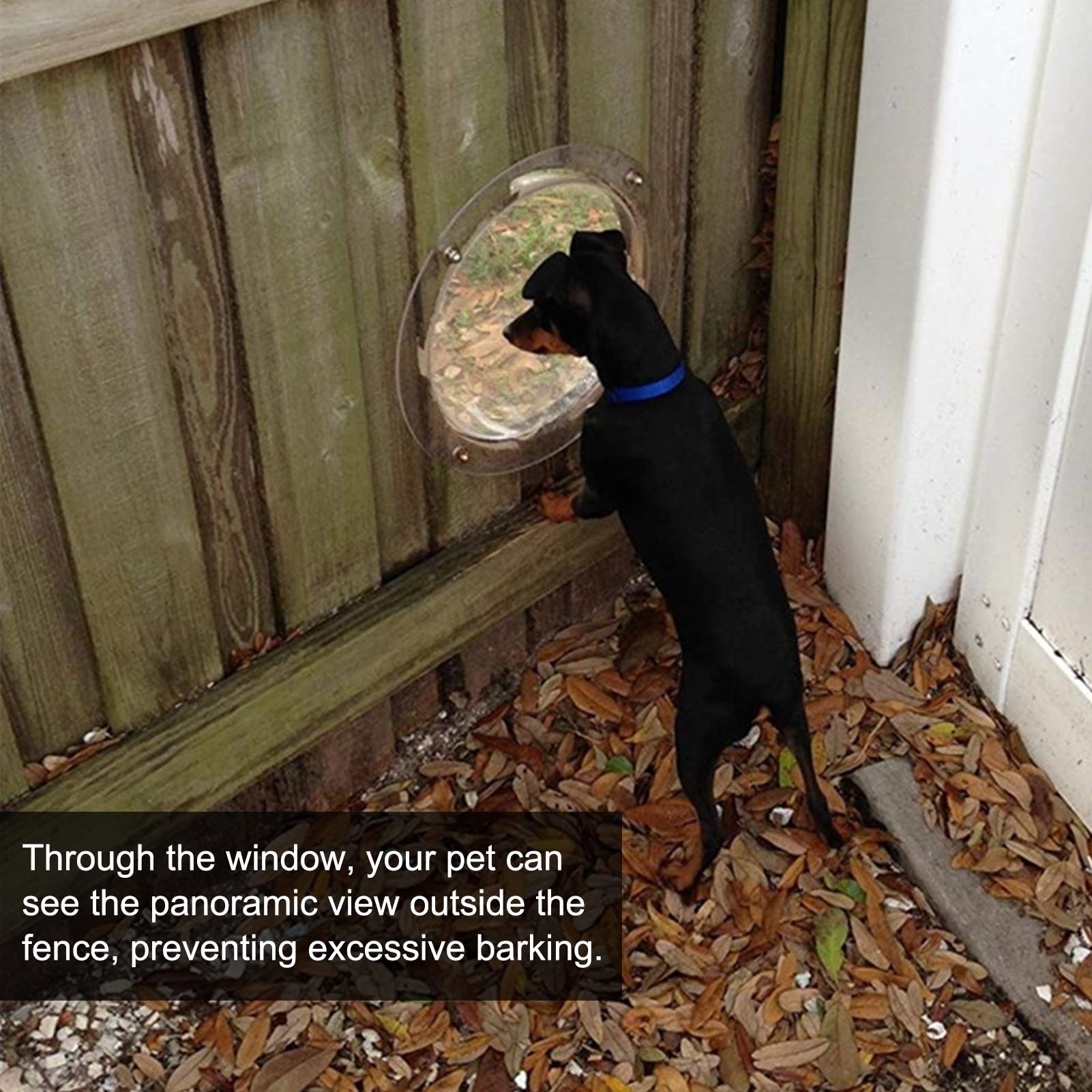 Snapklik.com : Dog Fence Window Transparent Acrylic Dome Pet Window ...