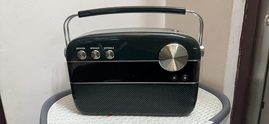 Saregama Carvaan Hindi - Portable Music Player with 5000 Preloaded ...