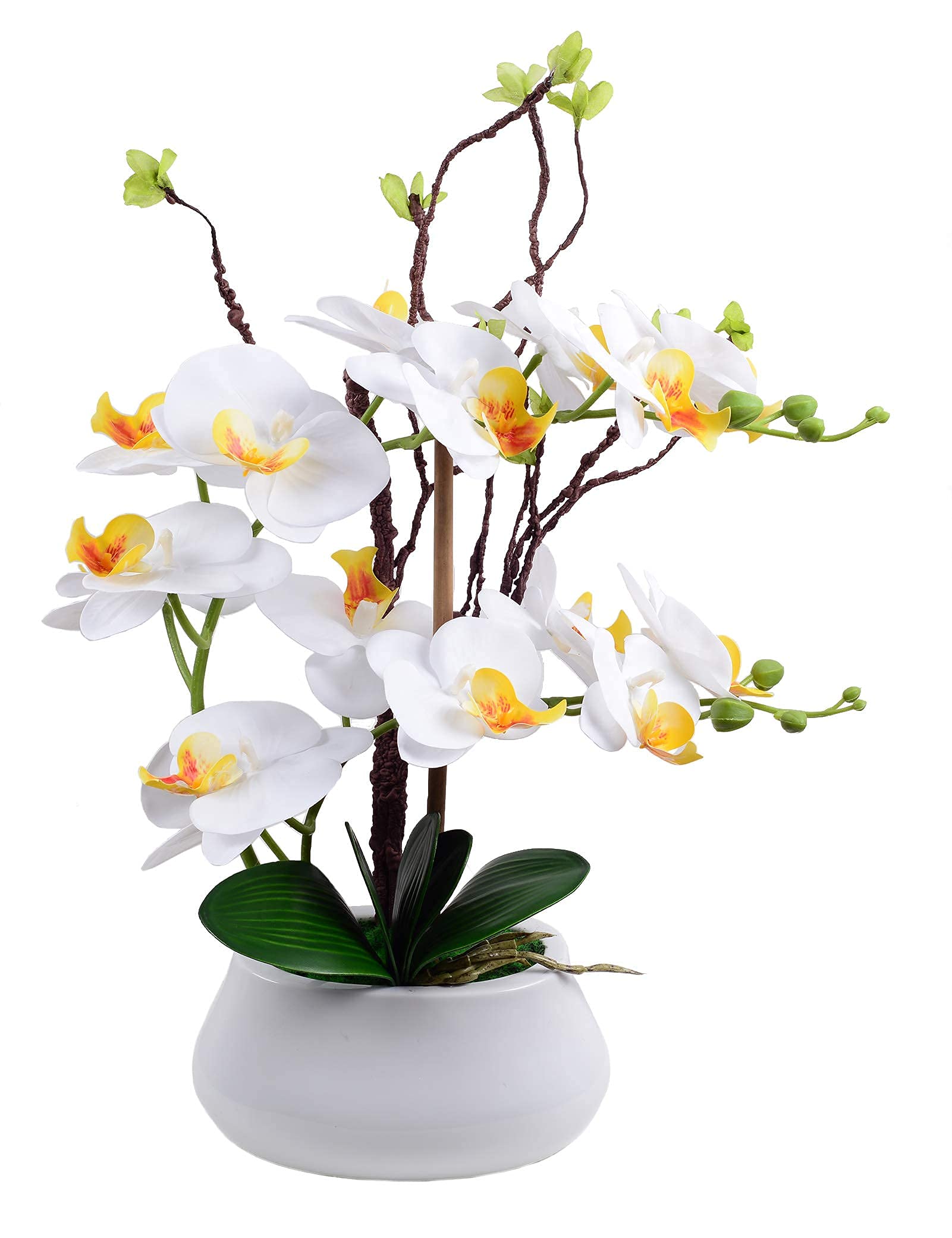 W&W Artificial Orchid Plants and Flowers with Vase, Fake Faux Orchid in ...