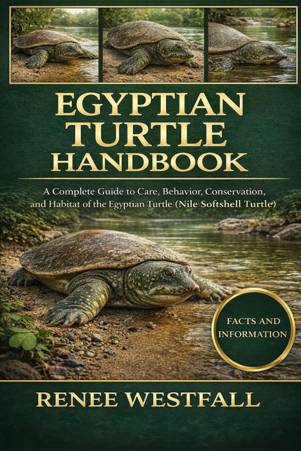 EGYPTIAN TURTLE HANDBOOK: A Complete Guide to Care, Behavior ...