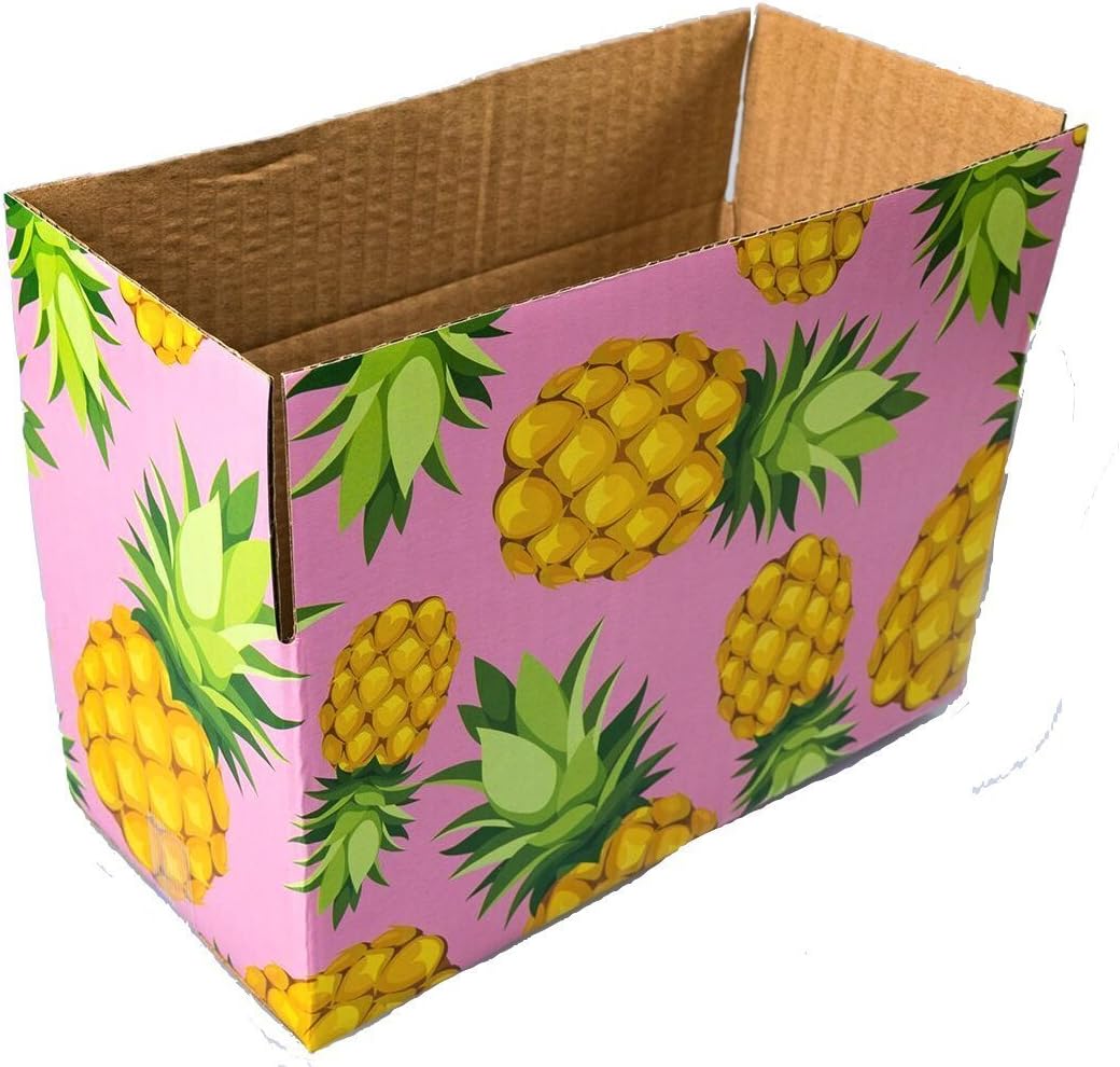 Amazon.com : 25 8x4x4 Pineapple Designer Boxes Corrugated Cardboard Box ...