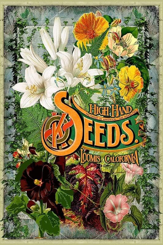 Amazon.com: MATou Vintage Nursery Seeds Vintage Seed Packet Metal Sign ...