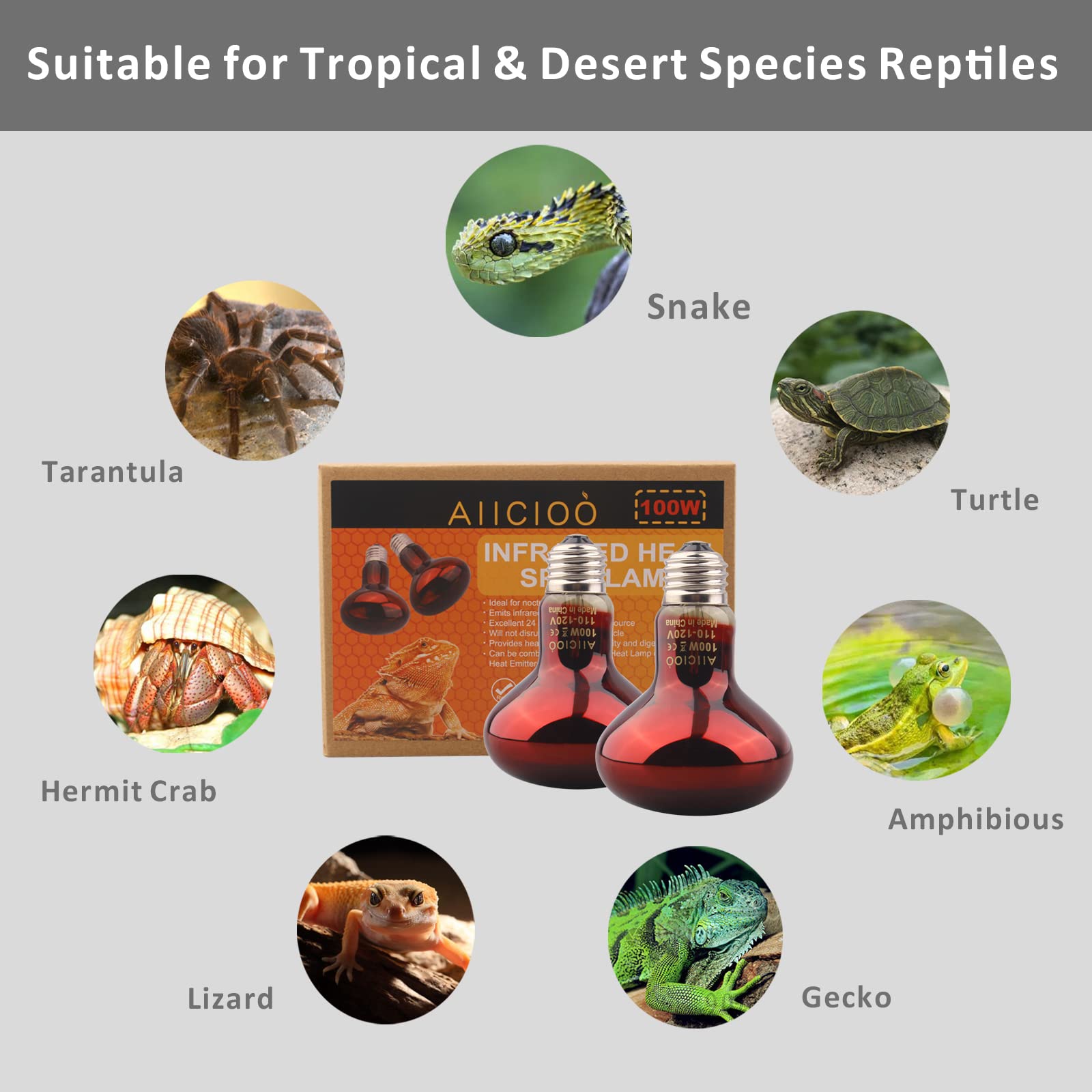 Snapklik.com : Reptile Red Night Light Bulb - 100W Reptile Heat Lamp ...